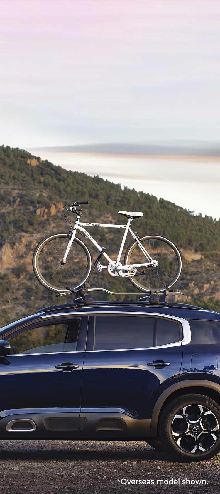 Citroen Car Servicing | Citroen Australia